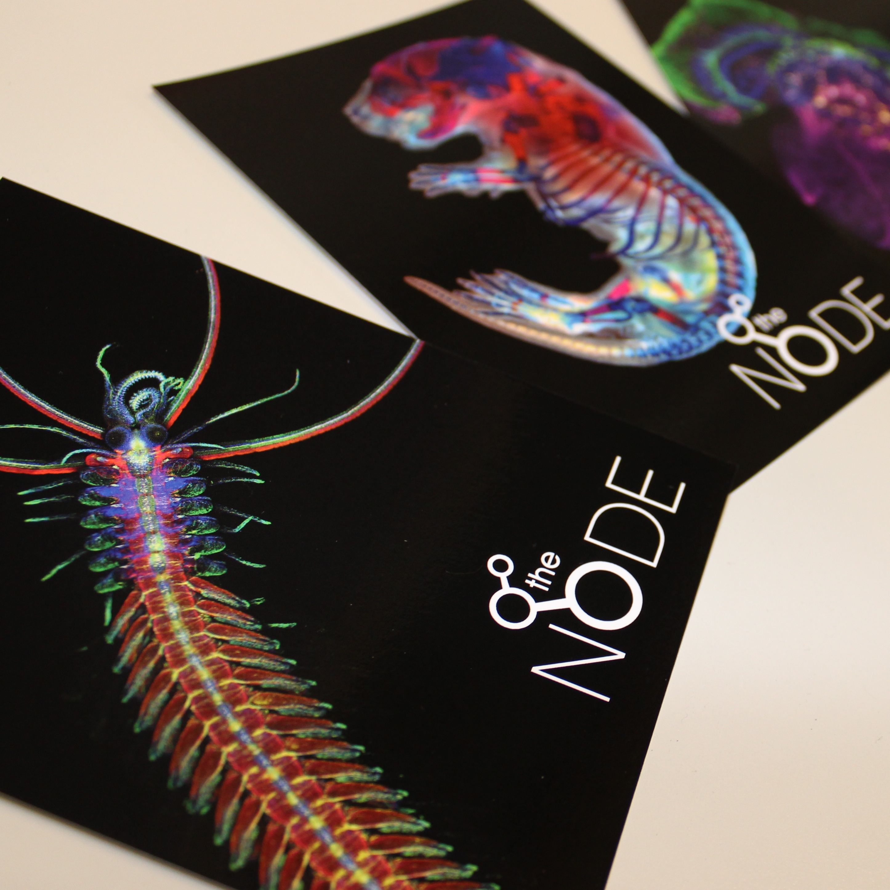 A new set of Node postcards! - the Node