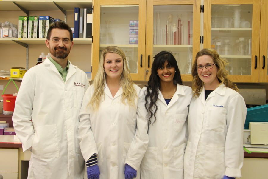 A day in the life of a lizard lab - the Node