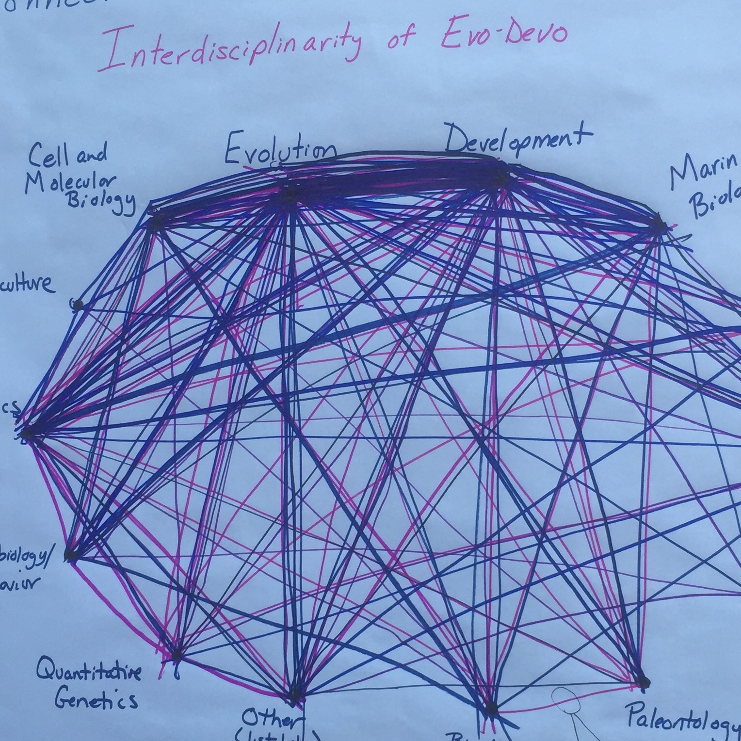 Meeting Report: Pan-Am Evo-Devo's first meeting - the Node