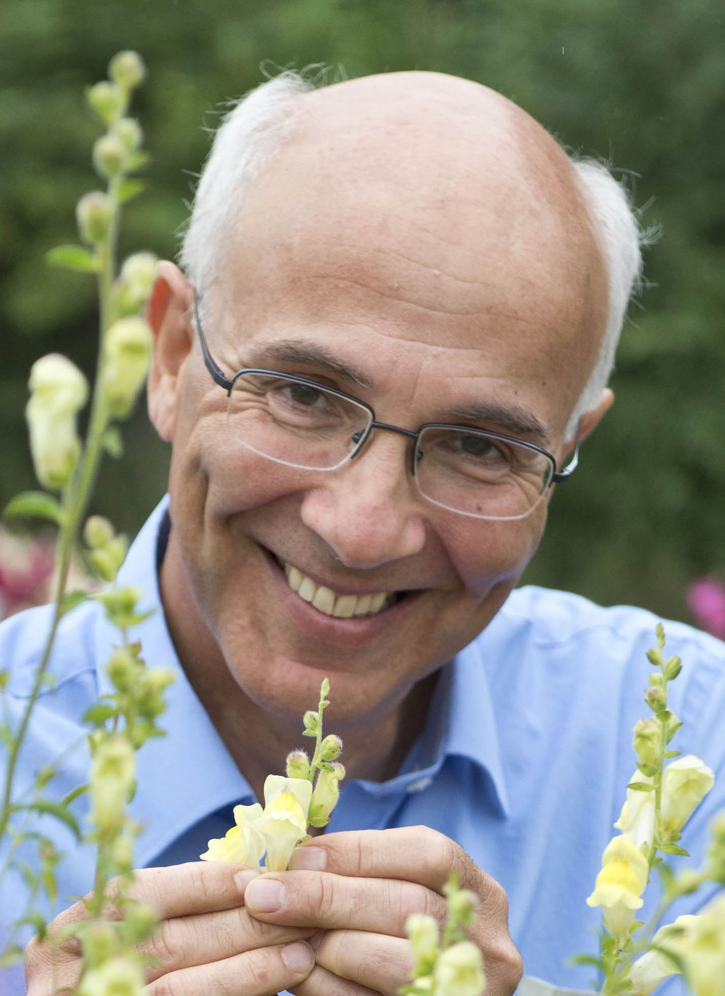 Enrico Coen: the 2016 BSDB Waddington medal winner - the Node