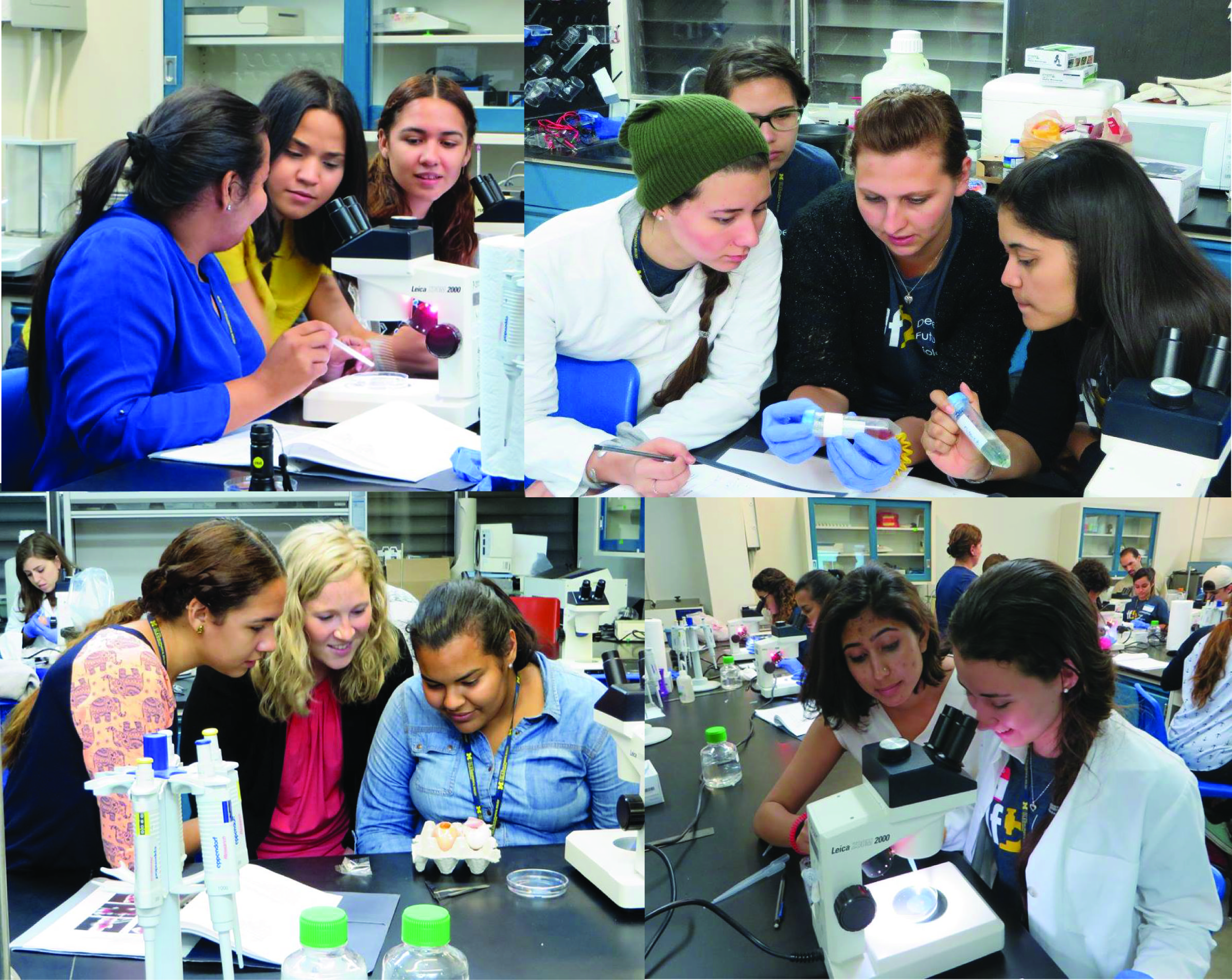 Developing Future Biologists 2016: Discovering the new generation of scientists! - the Node