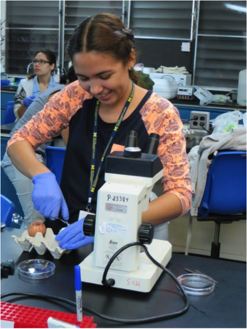 Developing Future Biologists 2016: Discovering the new generation of scientists! - the Node