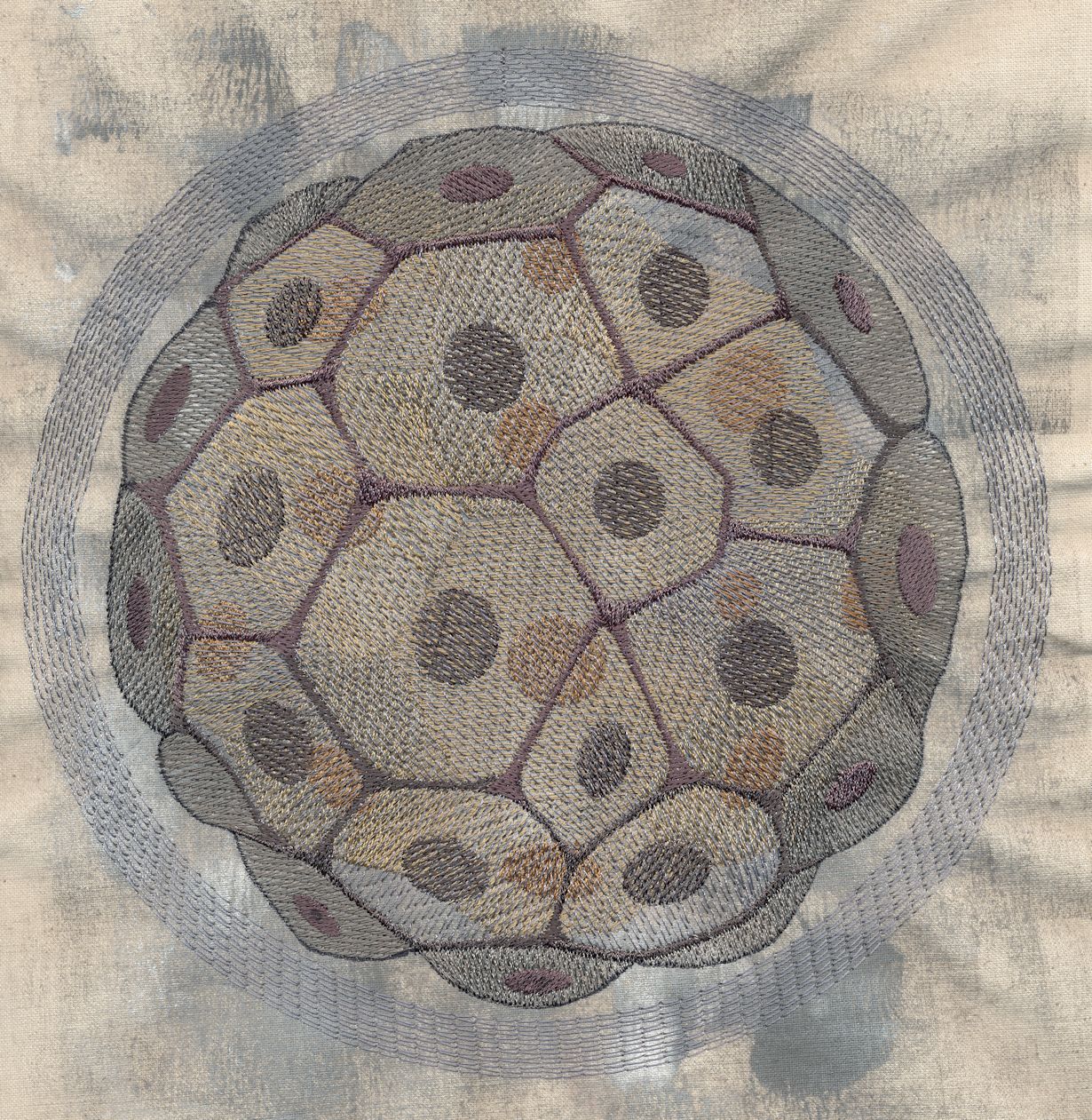 From biology to art - the Node