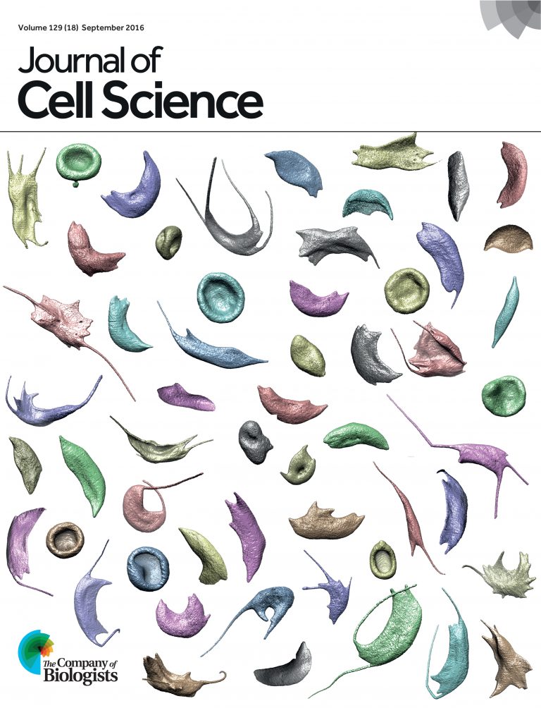 Vote for your favourite Development cover, 2016 - the Node