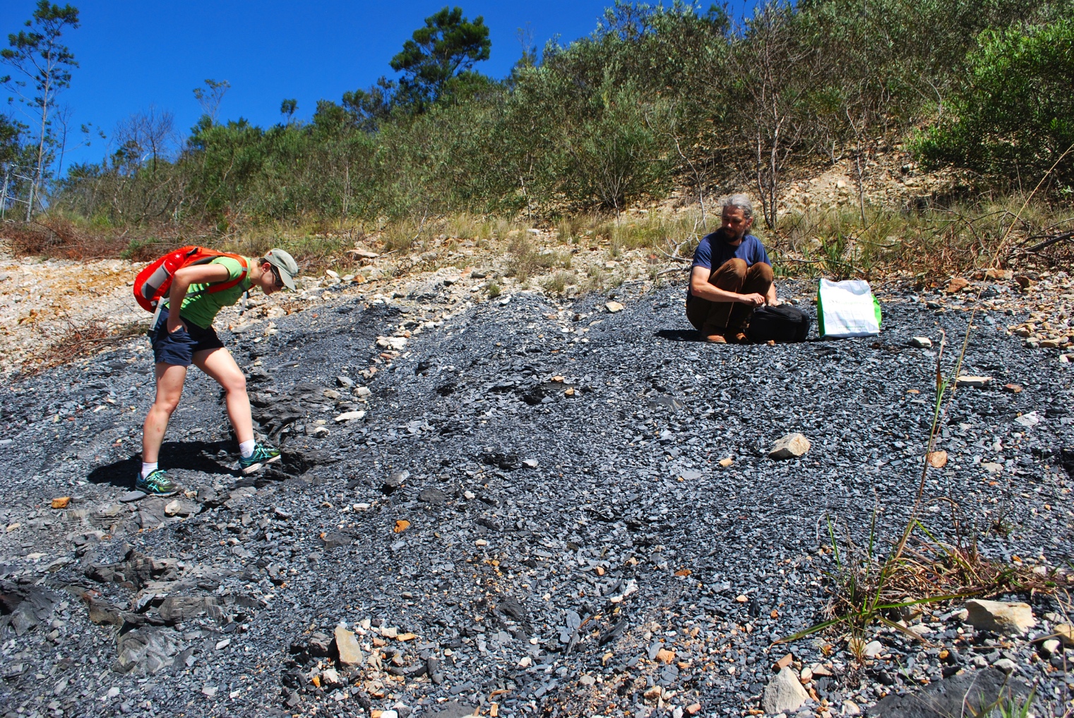 A CoB-assisted adventure in lamprey embryology - the Node