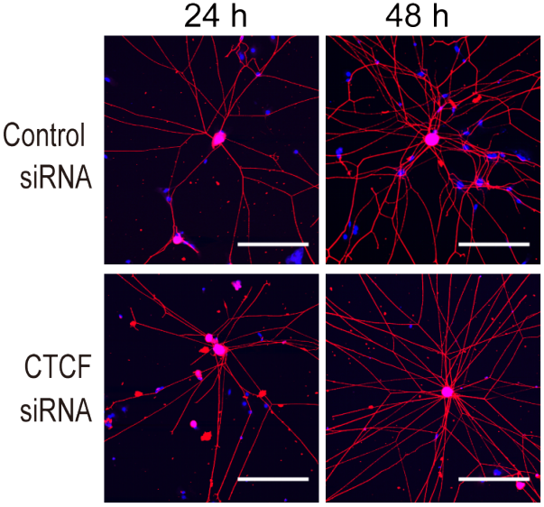 February in preprints - the Node