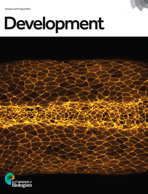 Development introduces format-free submission - the Node