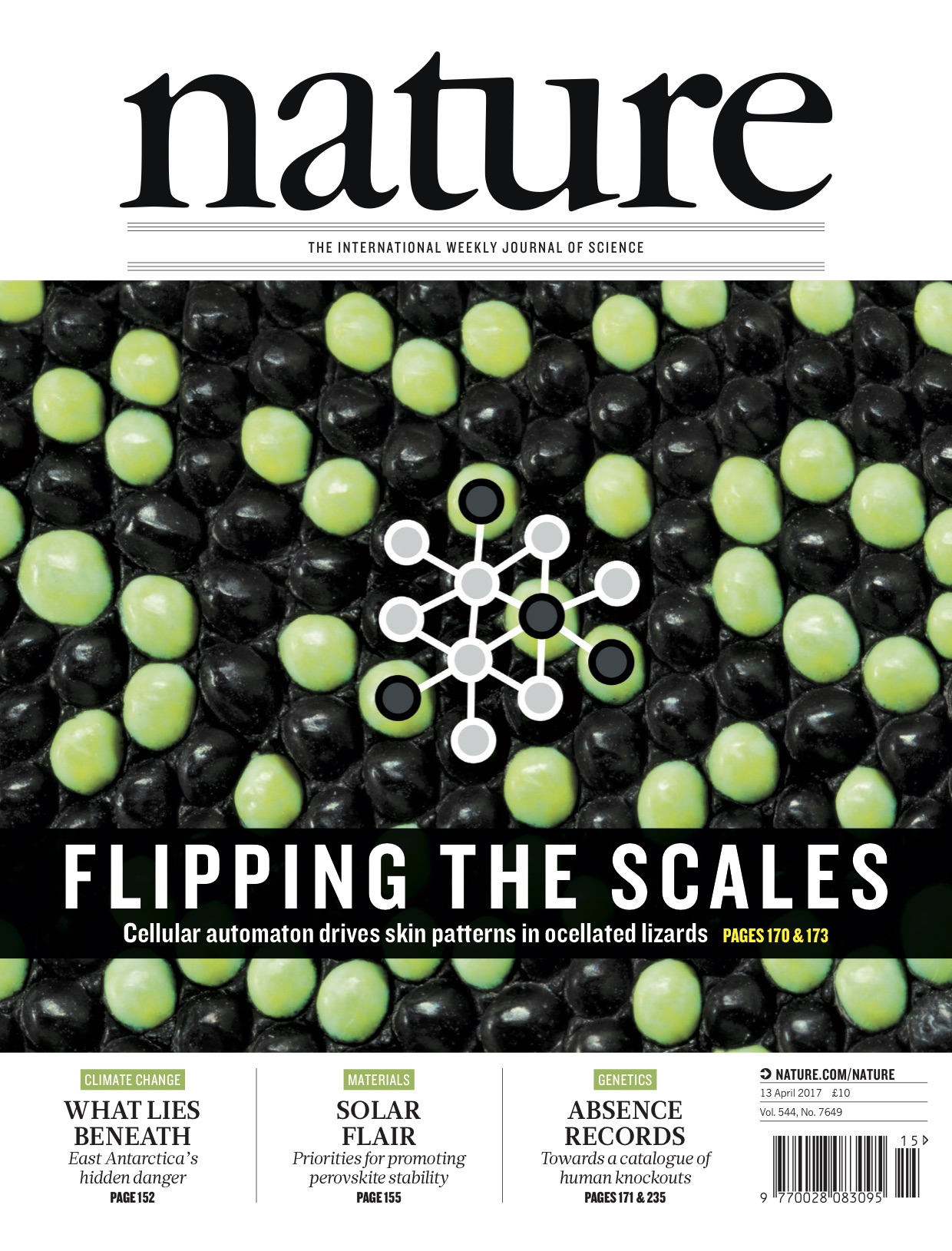 How to color a lizard: from developmental biology to physics to ...