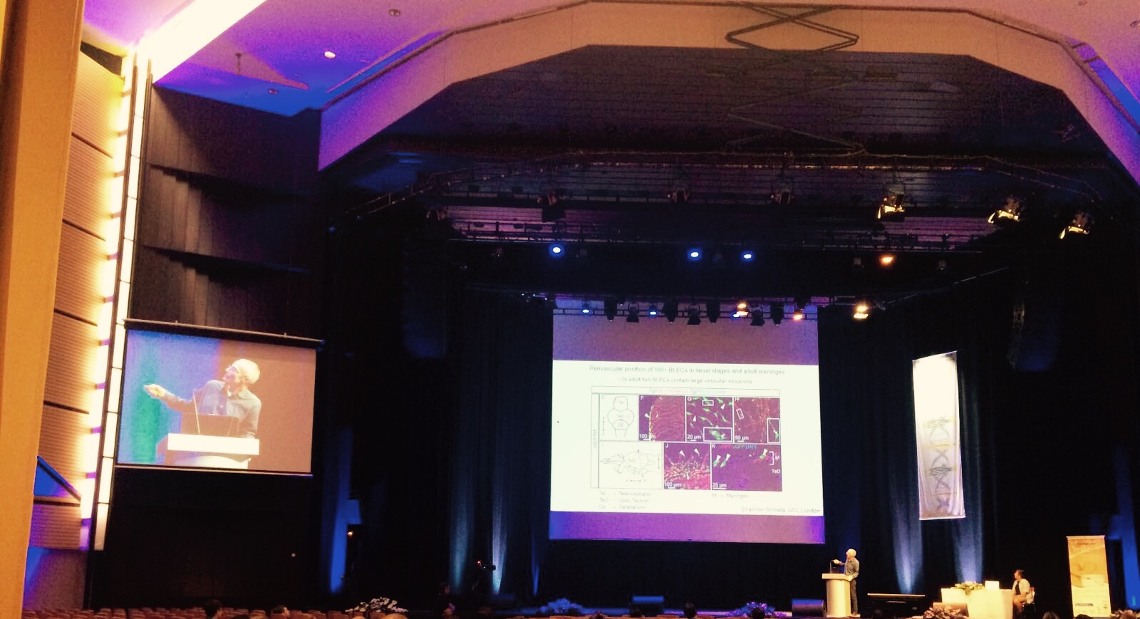 Discovery Through Collaboration: Brain Lymphatic Endothelial Cells ...