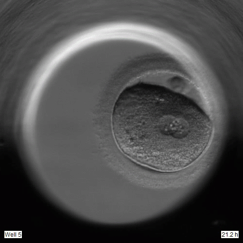 August in preprints - the Node