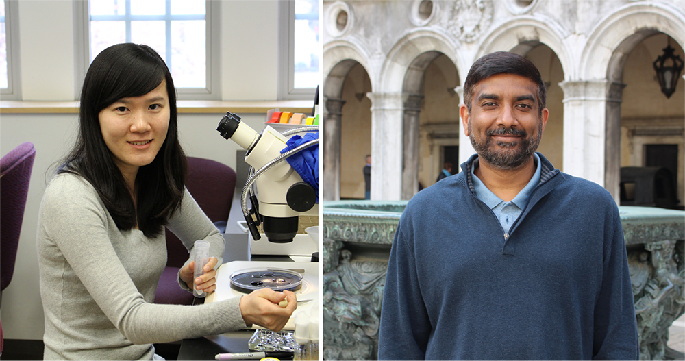 The people behind the papers - Jinjin Zhu & Justin Kumar - the Node