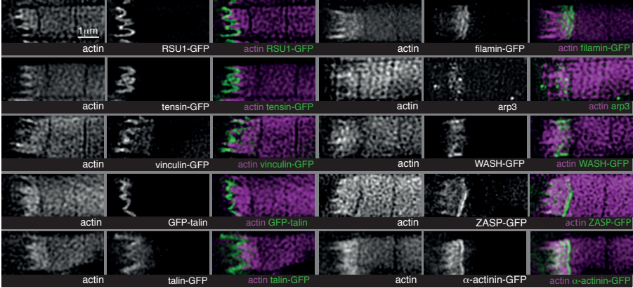 April in preprints - the Node