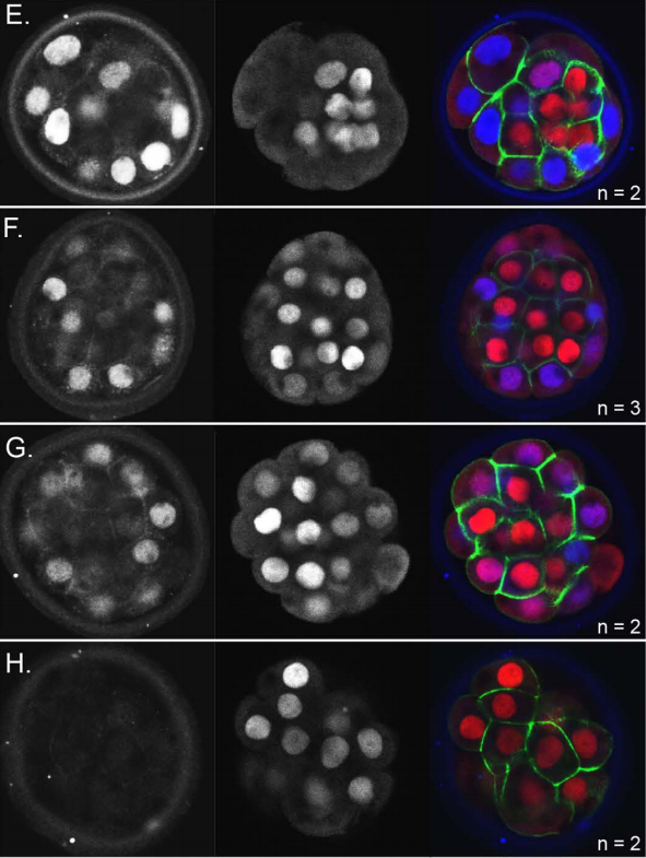 May in preprints - the Node