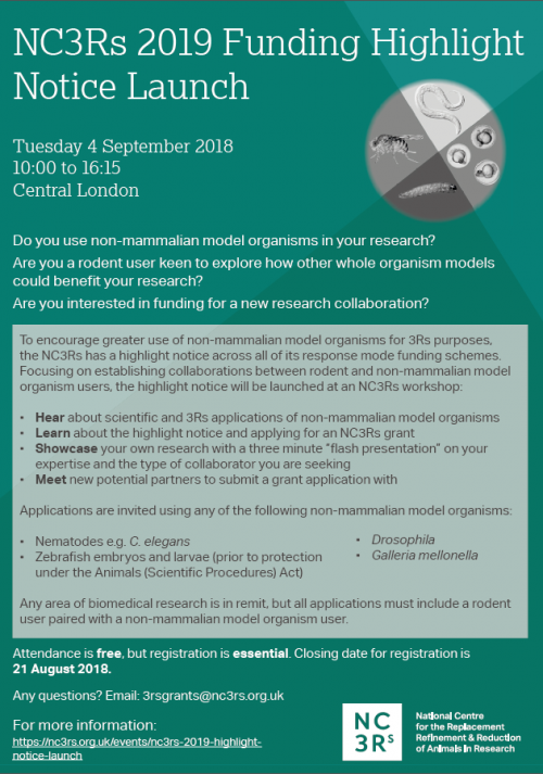NC3Rs 2019 Funding Highlight Notice Launch - the Node