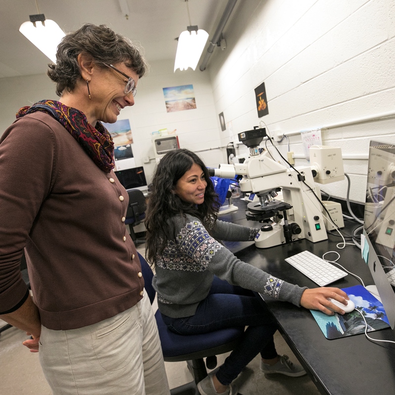 A day in the life of a Capitella teleta lab - the Node