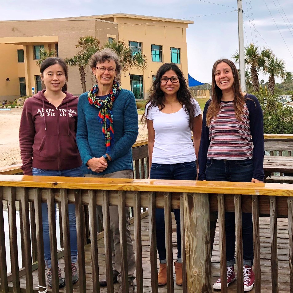 A day in the life of a Capitella teleta lab - the Node