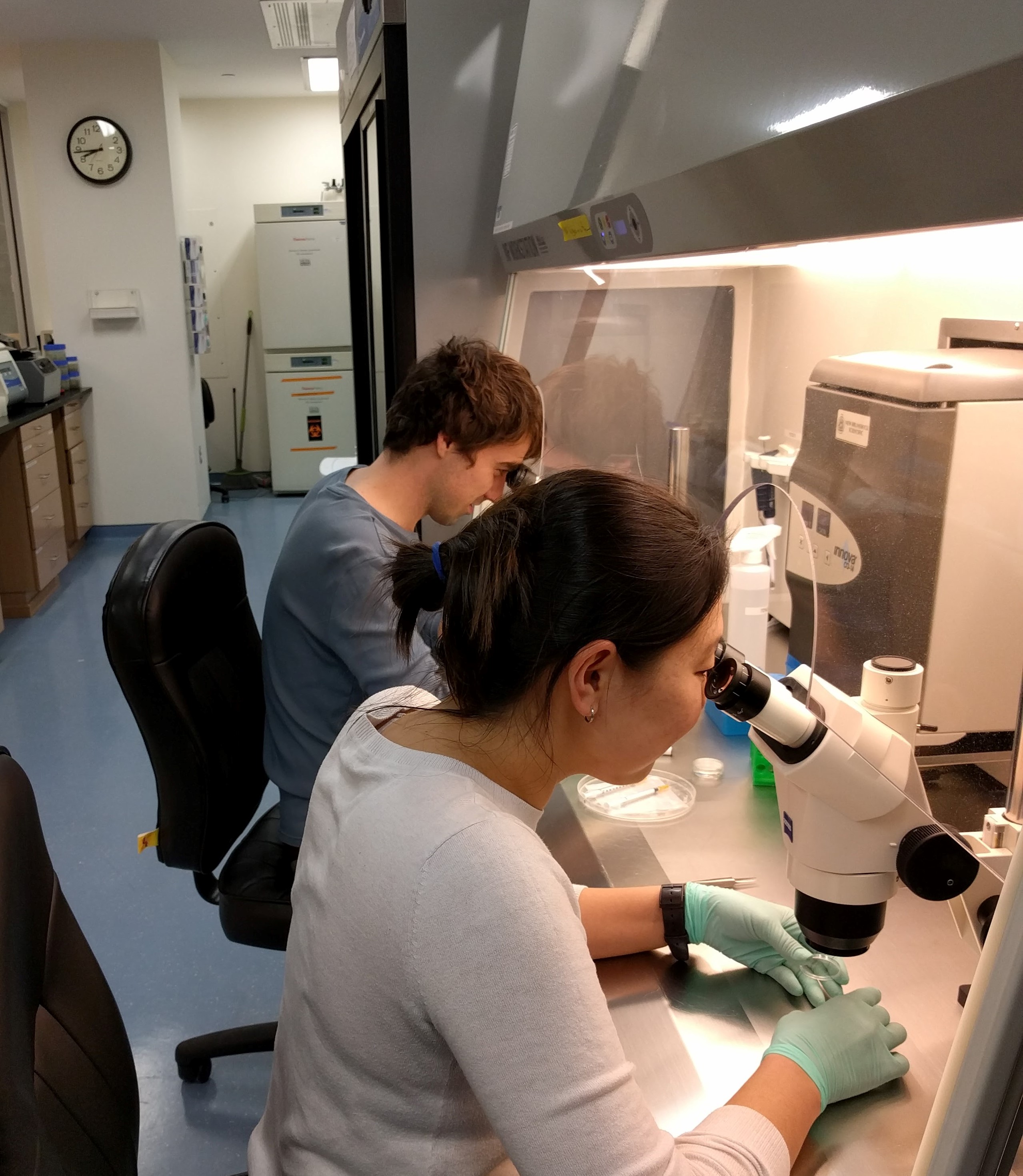 It’s alive! But what is it? - the Node