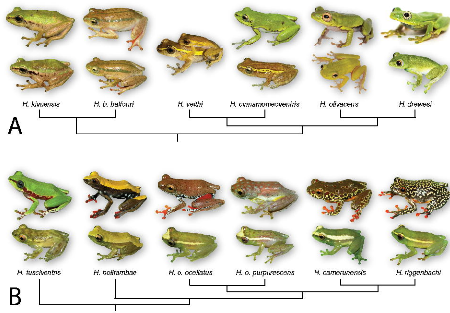 July in preprints - the Node