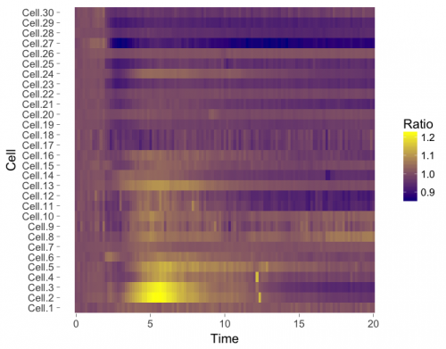 Visualizing the heterogeneity of single cell data from time-lapse ...