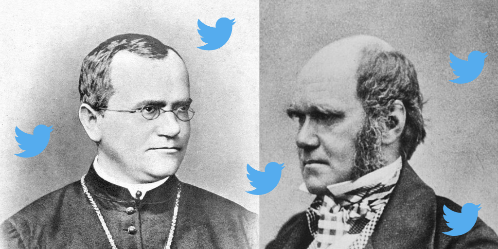 Genetics Unzipped podcast: Darwin vs Mendel - the Node