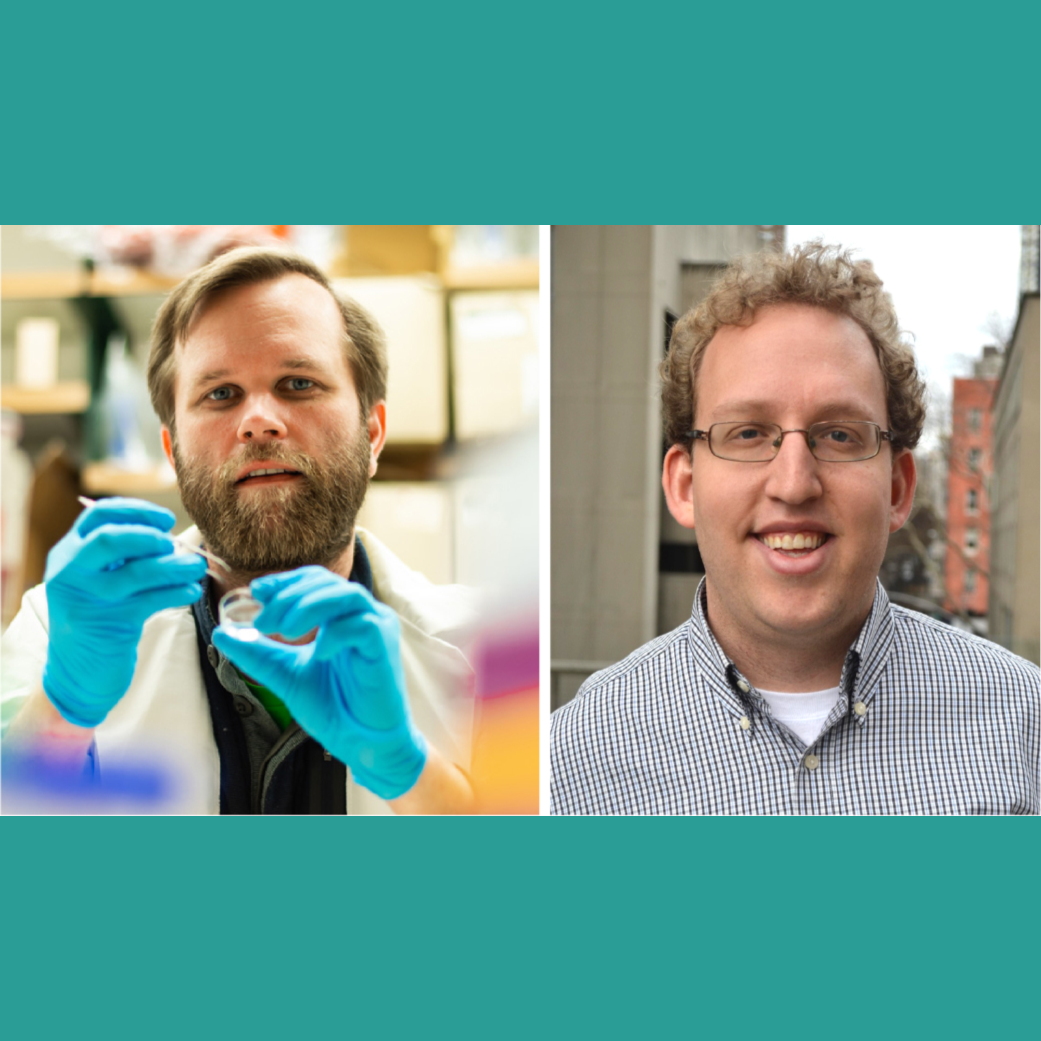 The people behind the papers – George Britton and Aryeh Warmflash - the ...