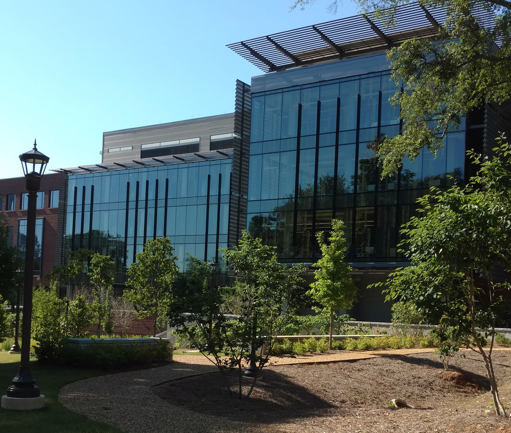 Postdoc position studying polarized axon outgrowth in Ciona - the Node