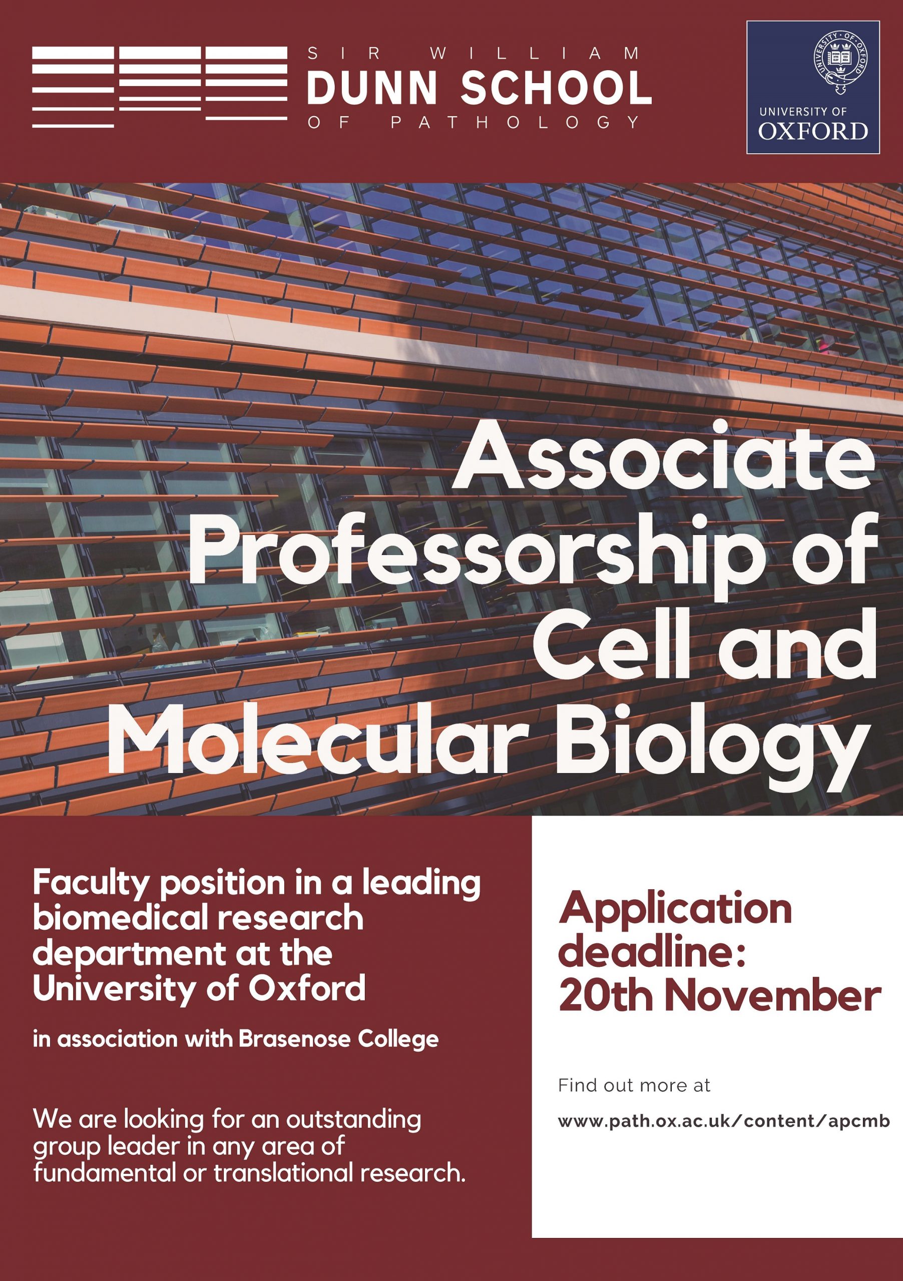 Associate Professor of Cell and Molecular Biology - the Node