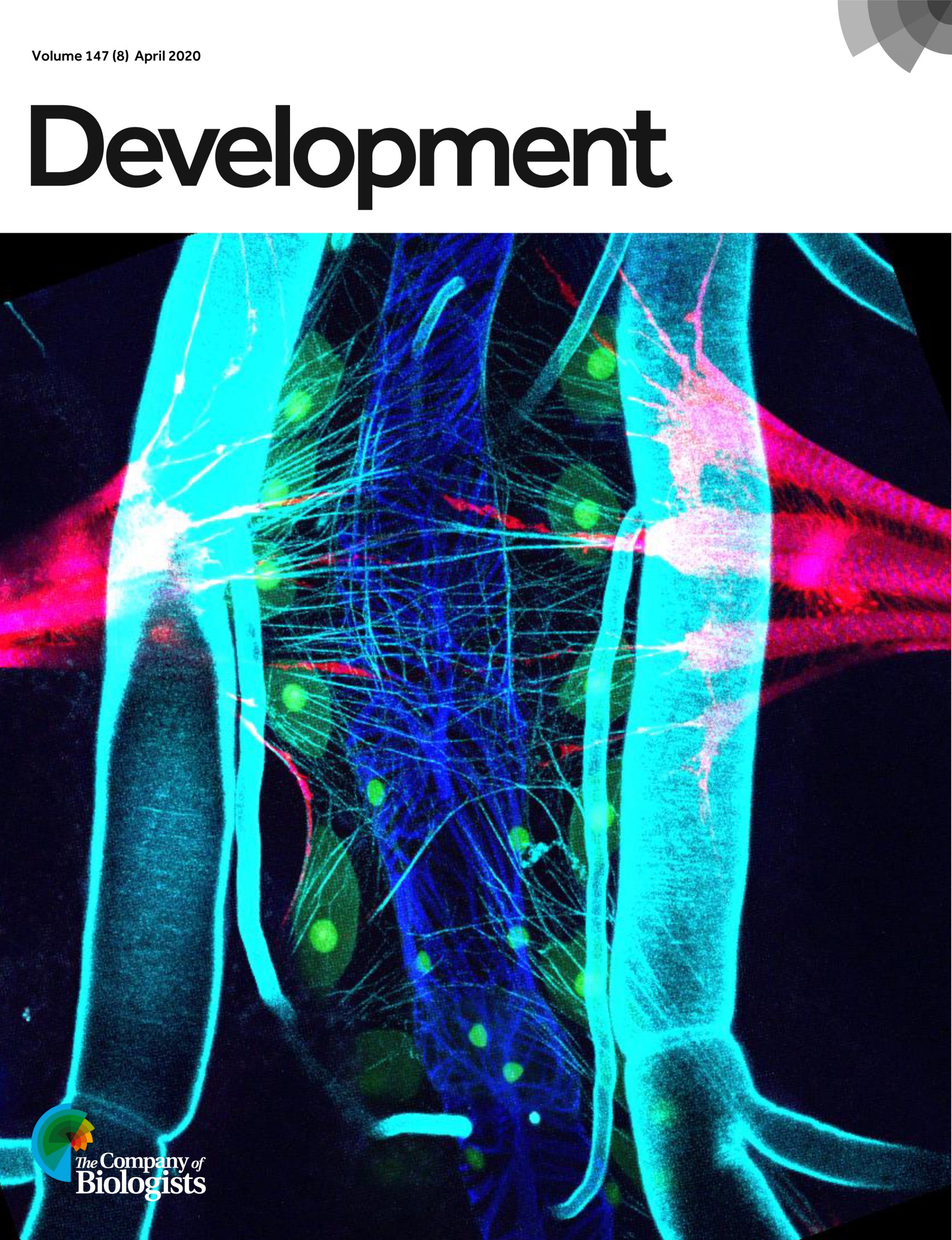 Development 2020 covers gallery - the Node