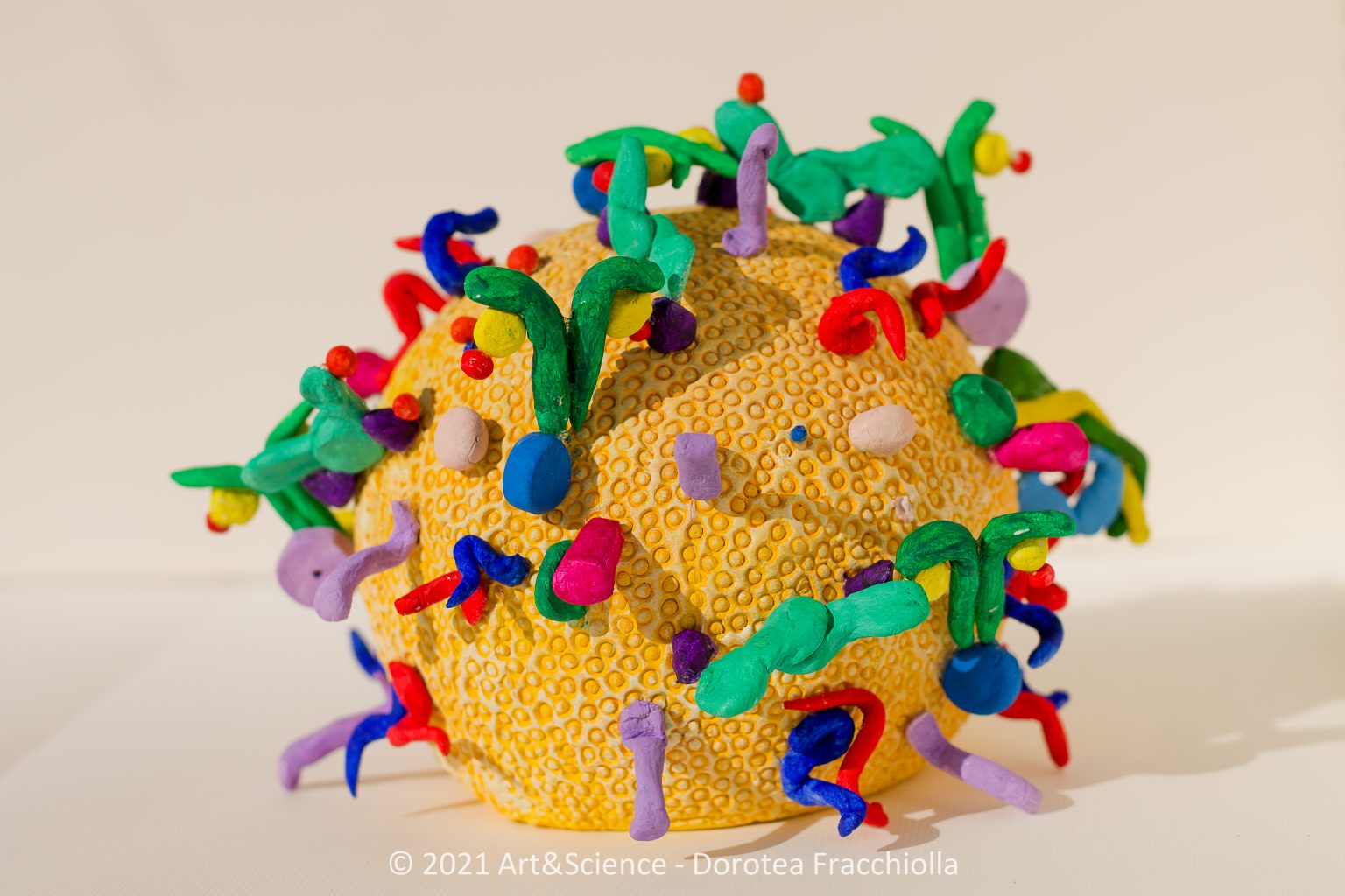 SciArt profiles - the Node