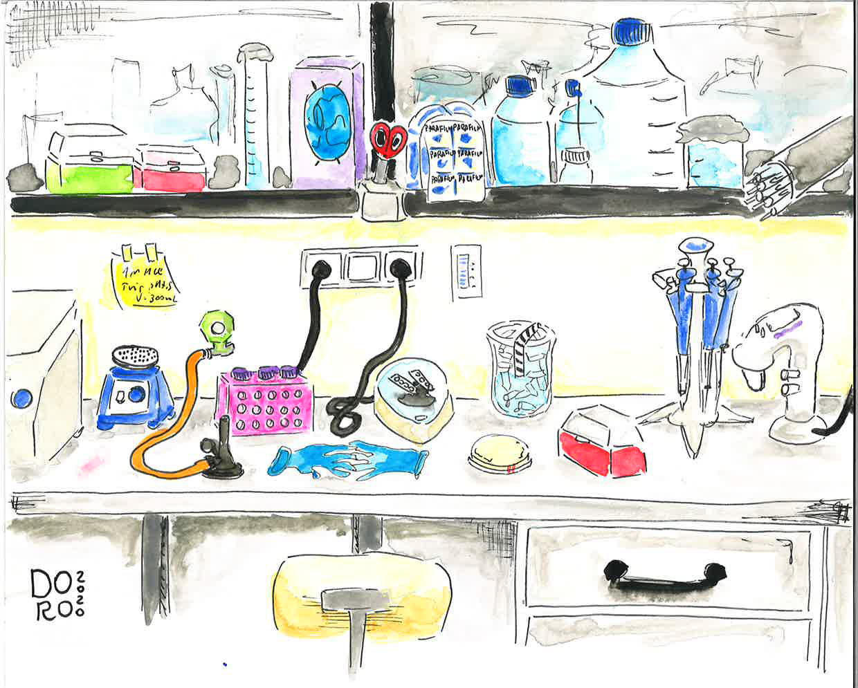 SciArt profiles - the Node