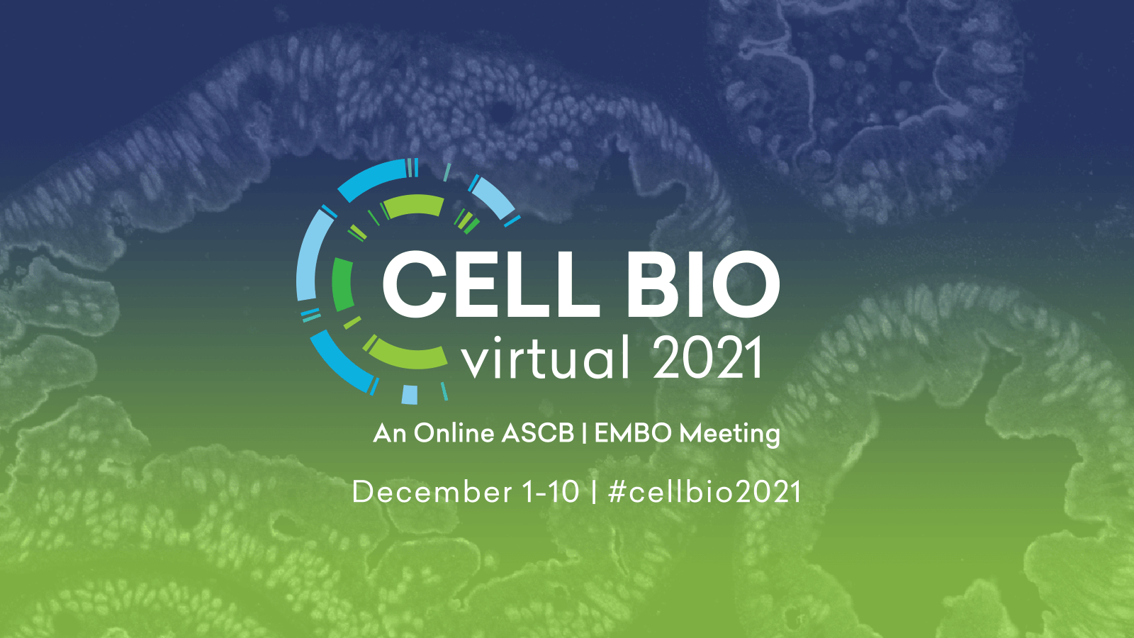 Cell Bio Virtual 2021-An Online ASCB|EMBO Meeting - the Node