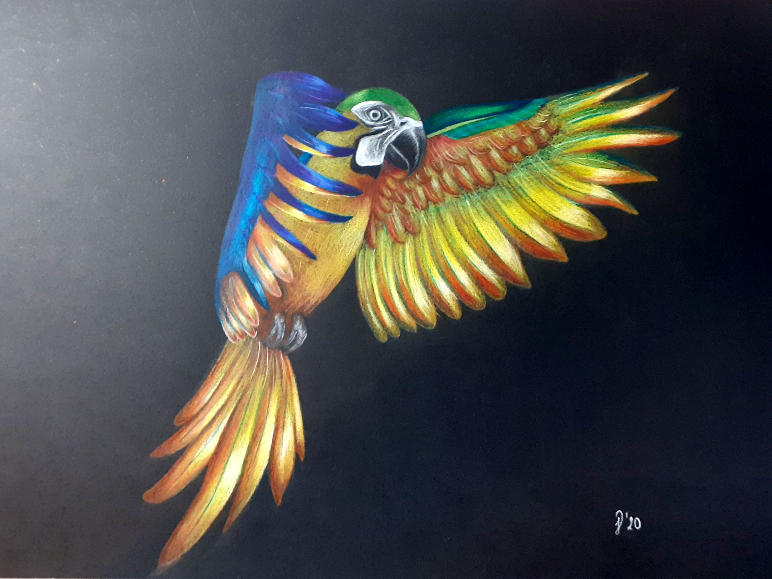 SciArt profiles: Elisabeth Kugler - the Node