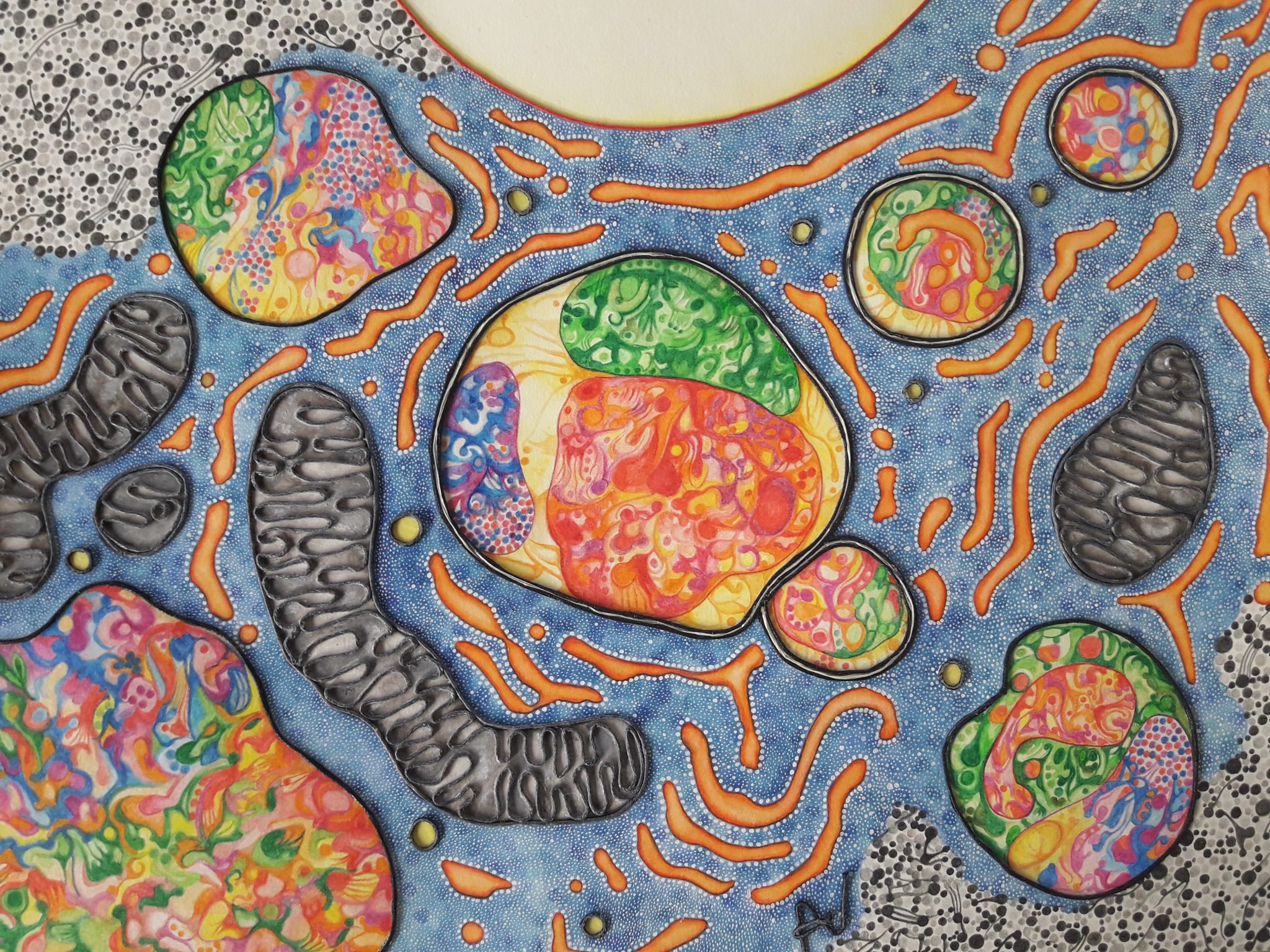 SciArt Profile: Ayelén Valko - the Node