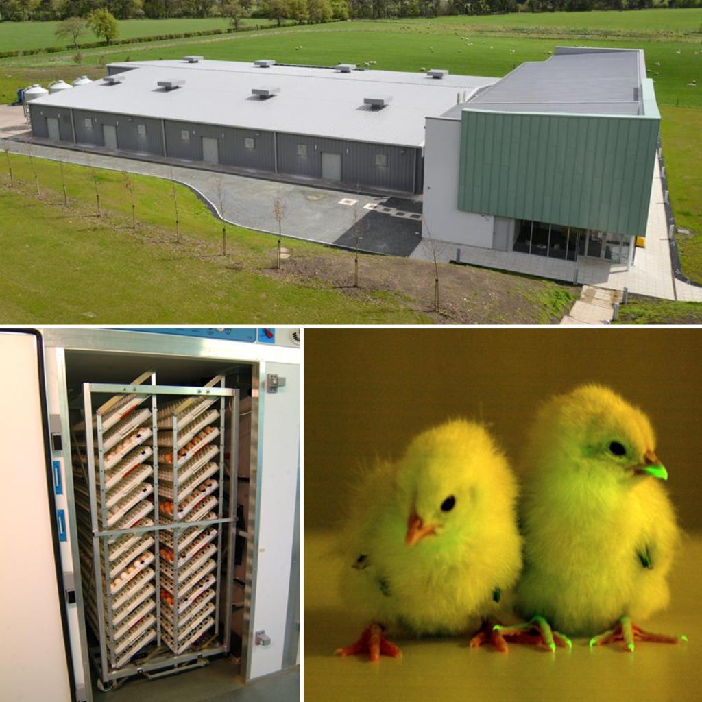 Featured resource: The National Avian Research Facility, UK - the Node