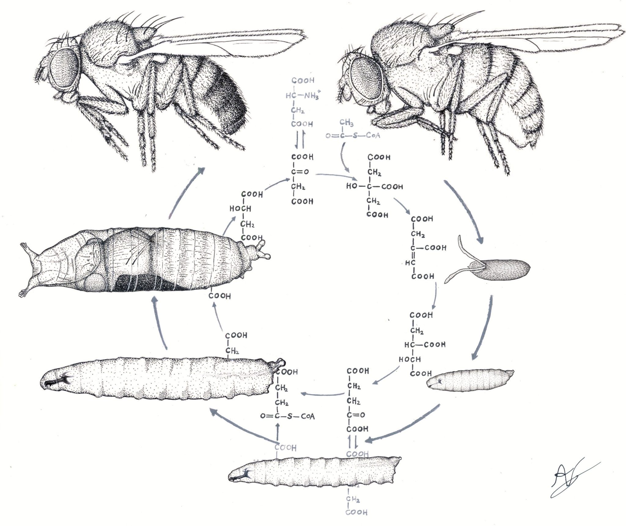 Countdown to 2022 - the Node
