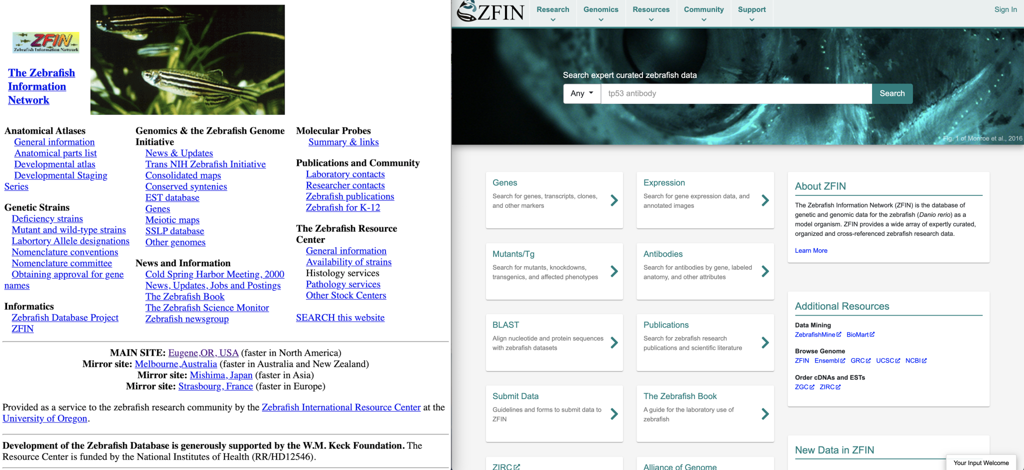 Featured Resource: the Zebrafish Information Network (ZFIN) - the Node