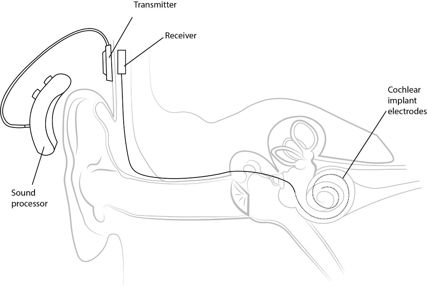 SciArt profile: Jessica Richardson - the Node