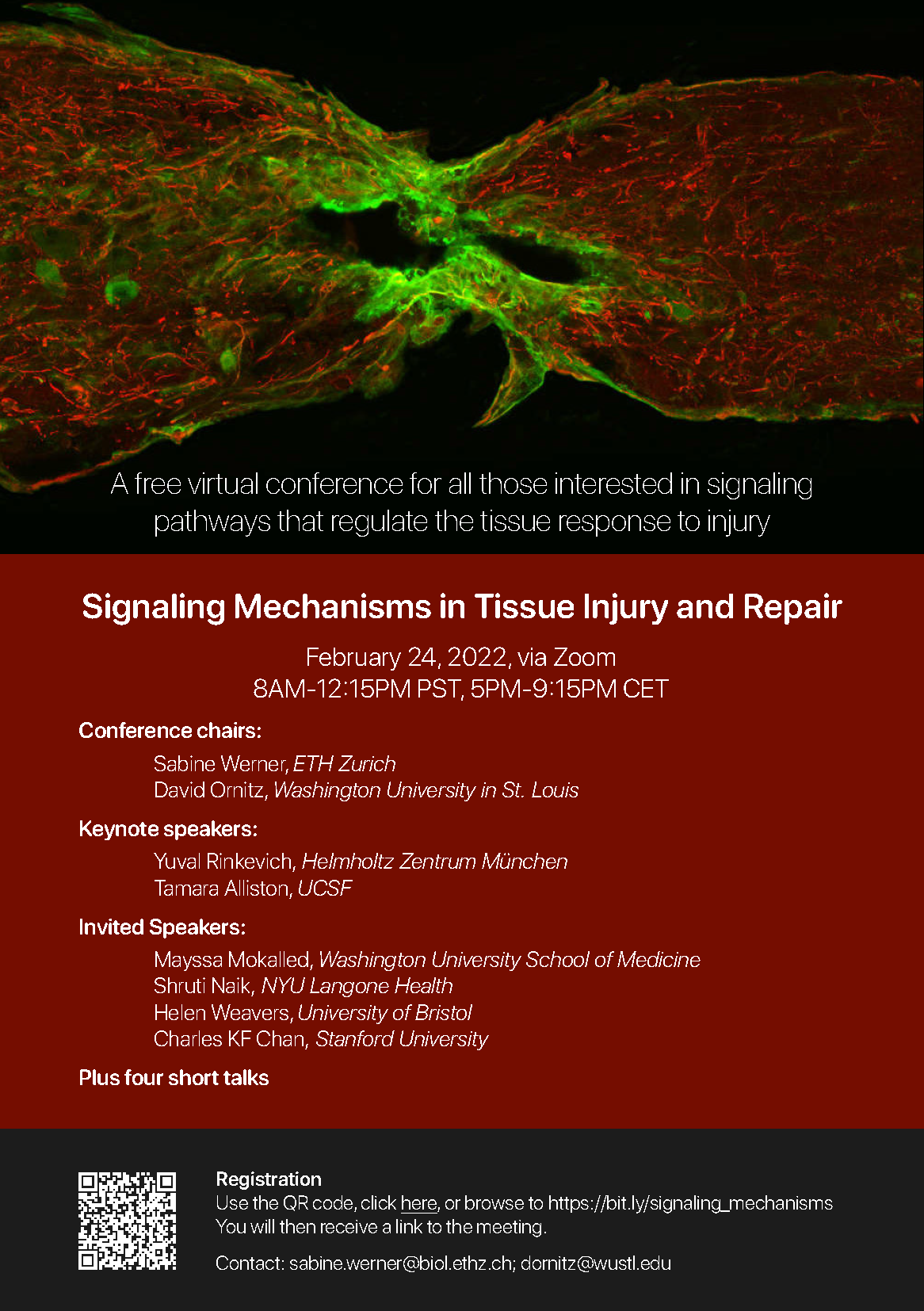 Signaling Mechanisms in Tissue Injury and Repair - the Node