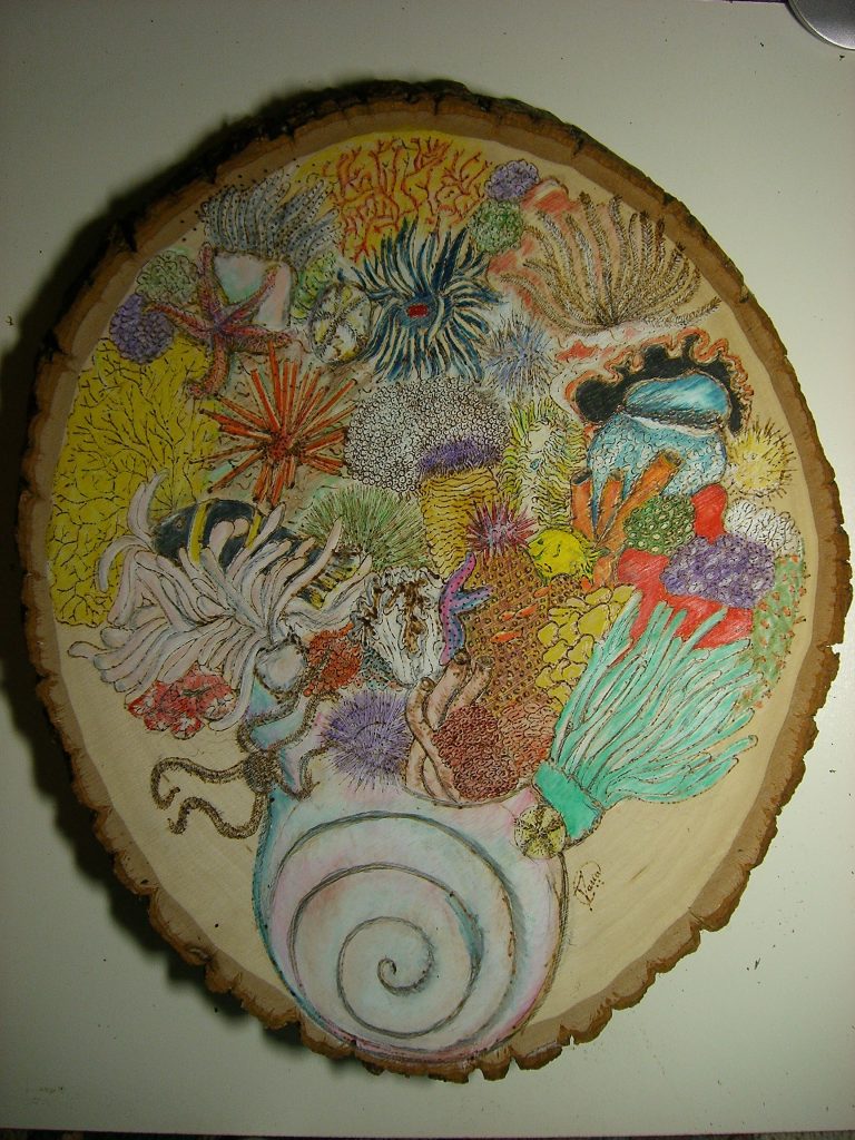 SciArt profile: Maria Abou Chakra - the Node