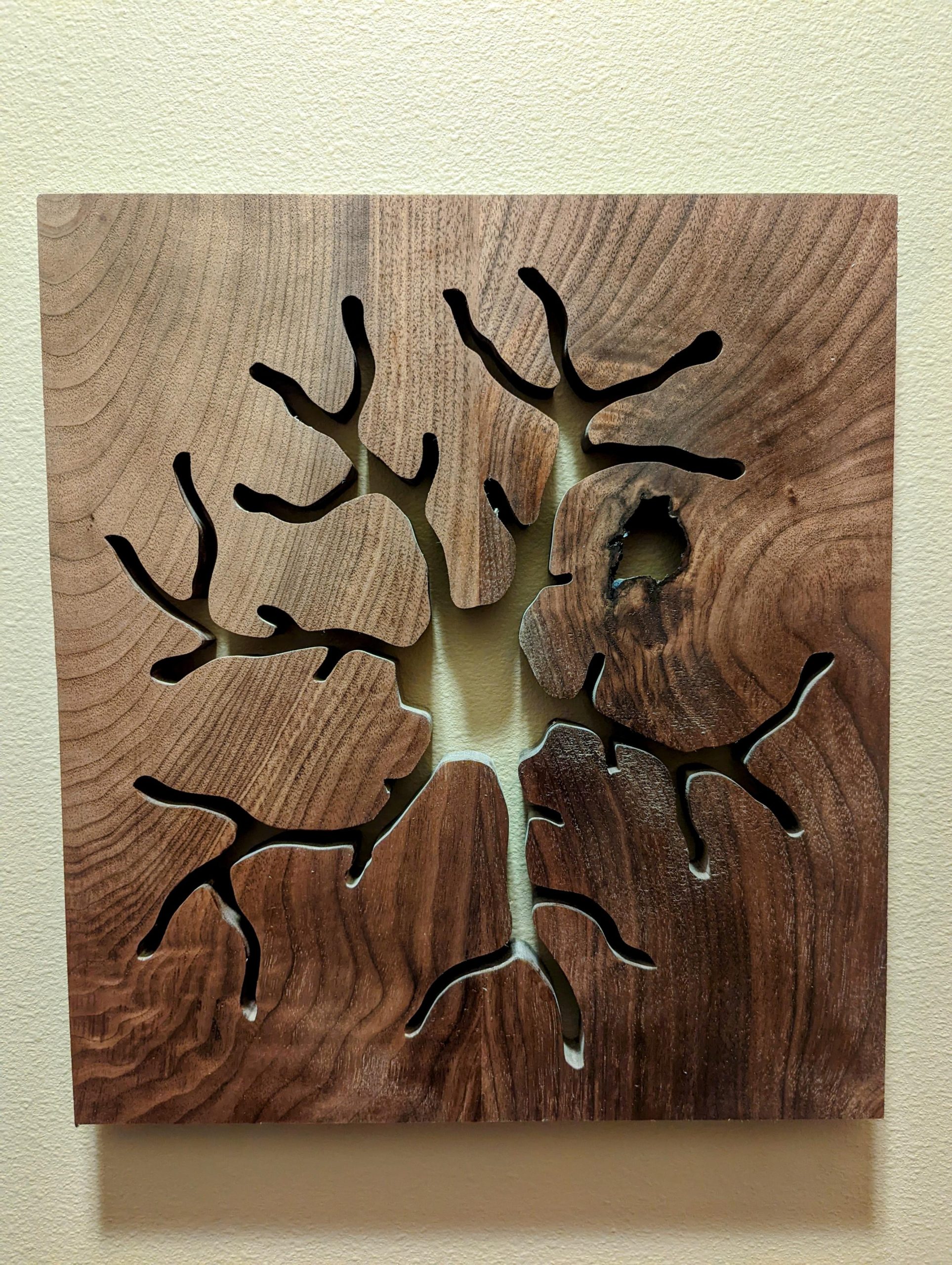 SciArt profile: Louis-Jan Pilaz - the Node