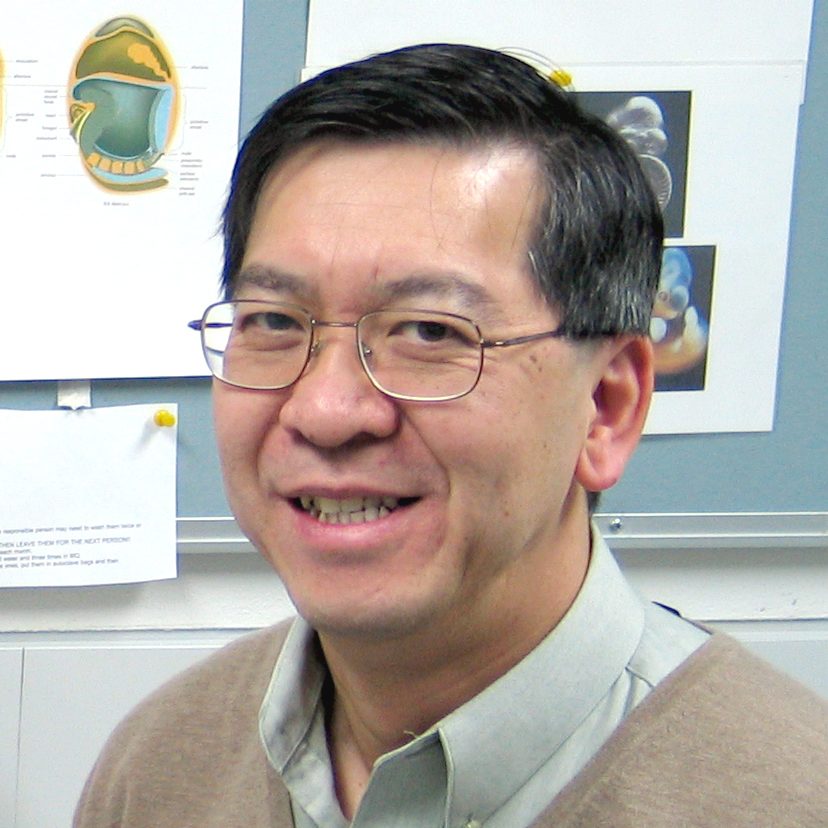 Past Development presents... webinars 2022 - the Node