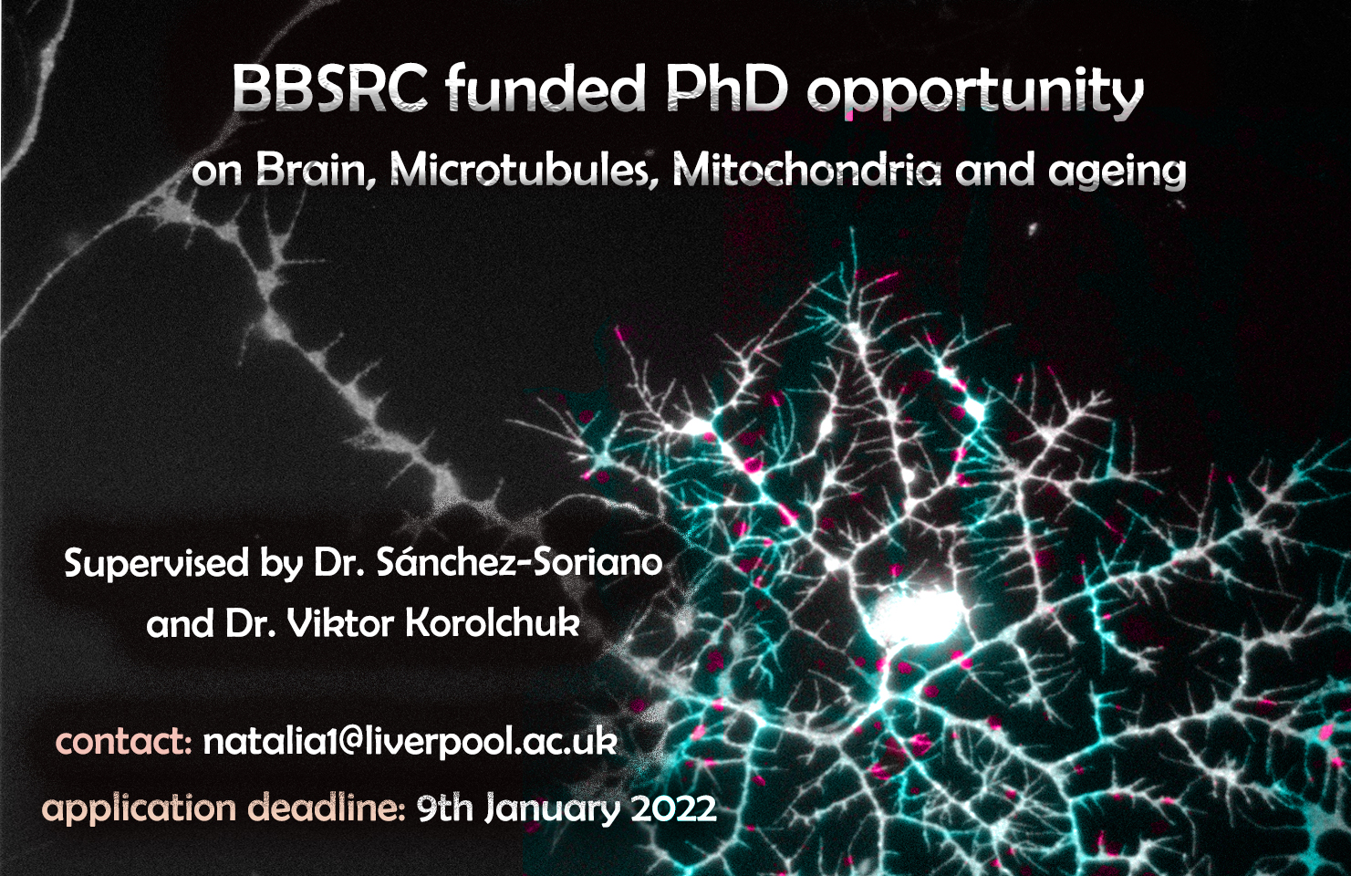 PhD opportunity funded by BBSRC - the Node