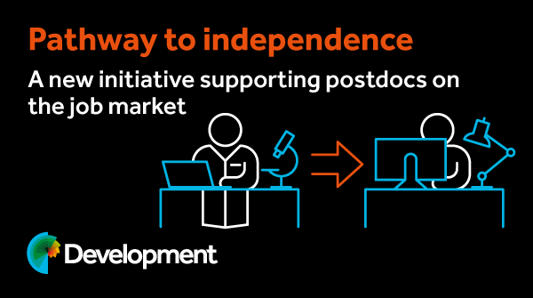 Development's Pathway to Independence programme: meet the 2025 fellows ...