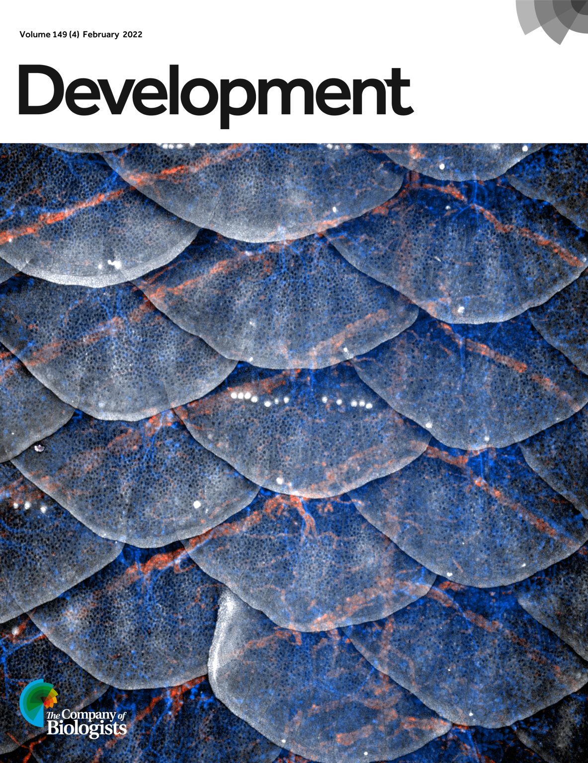 Vote for your favourite Development cover - the Node