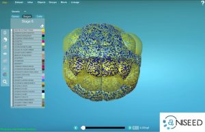 Featured Resource: MorphoNet - the Node