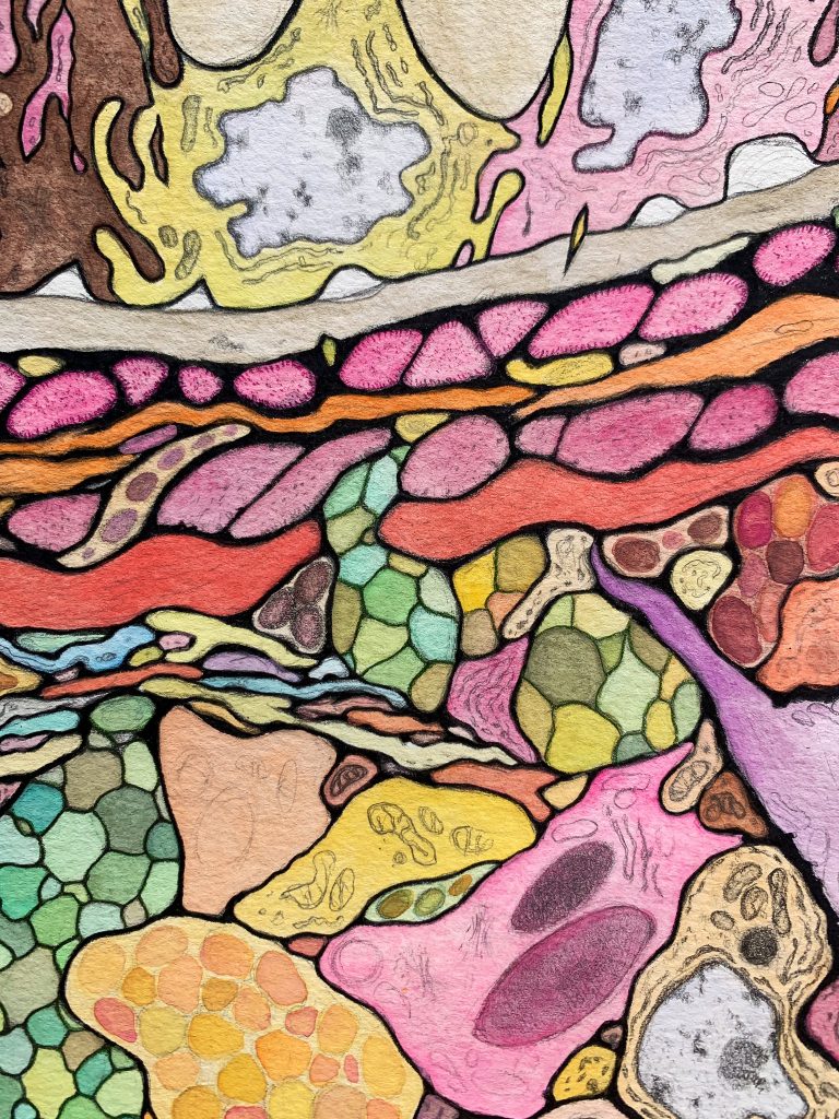 SciArt profile: Mol Mir - the Node
