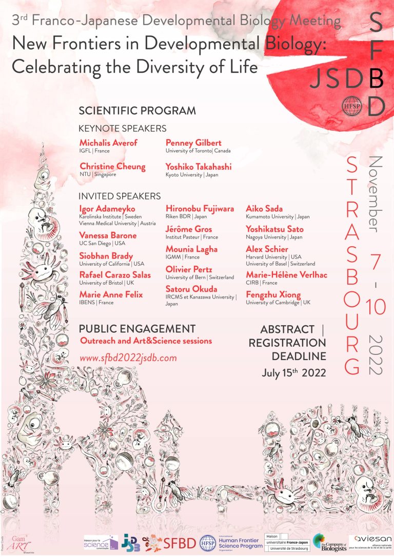 SciArt profile: Julie Gamart - the Node