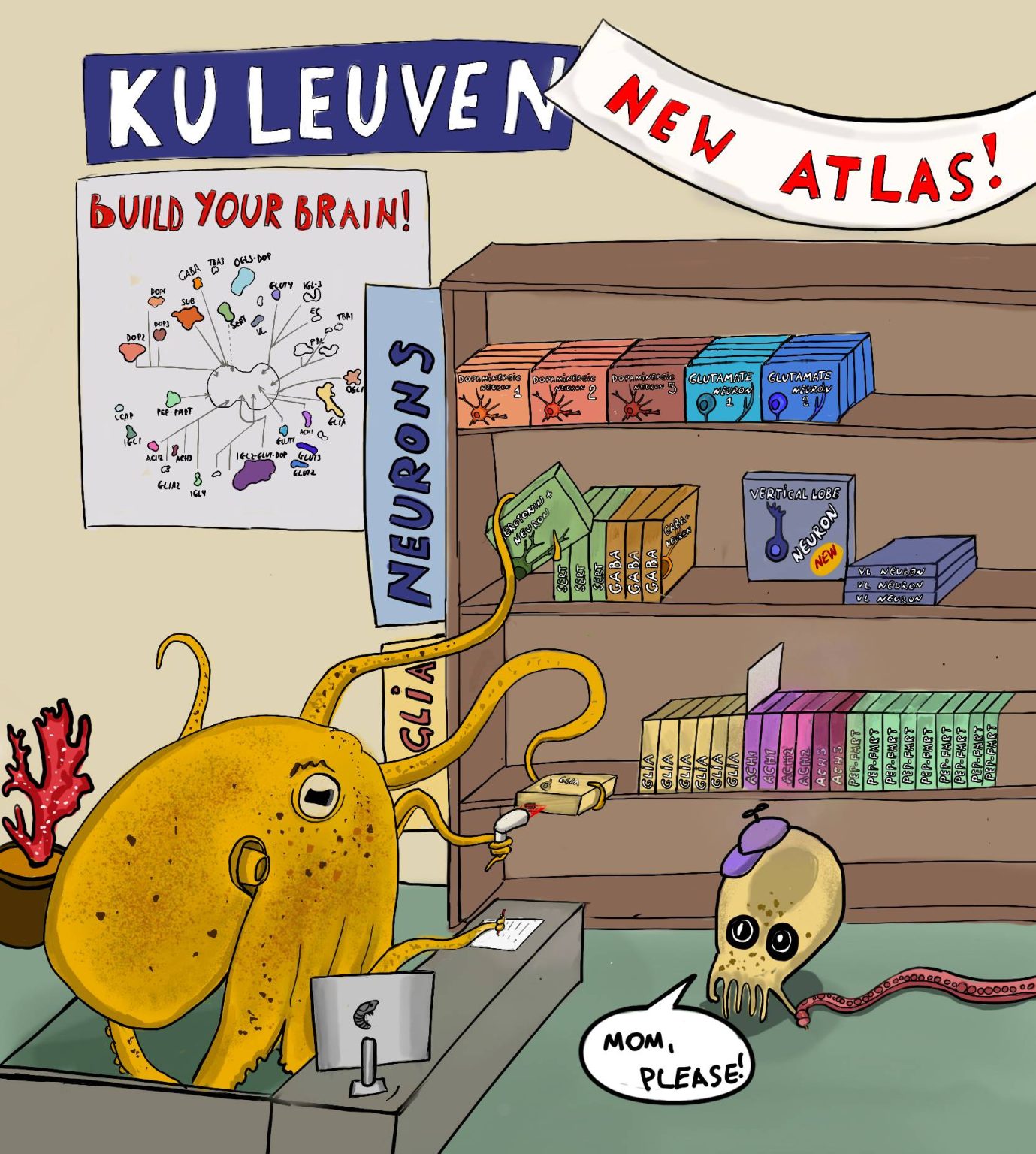 Charting new territory: mapping the cell types in the octopus brain ...