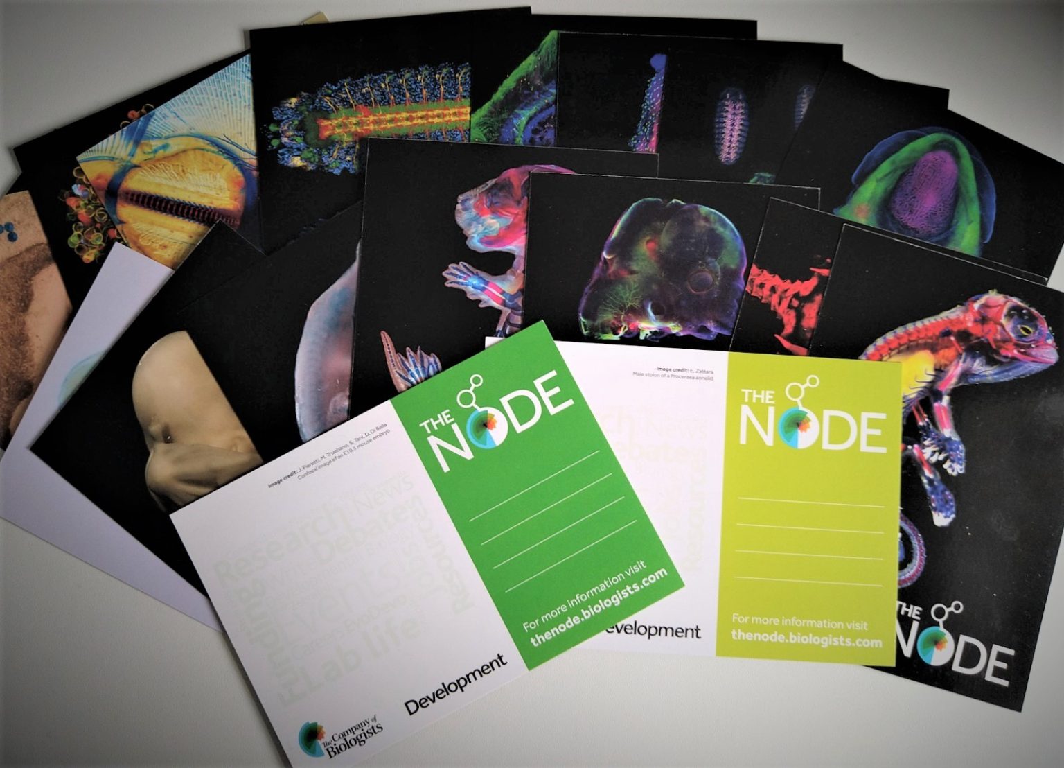 The Node postcard competition - the Node