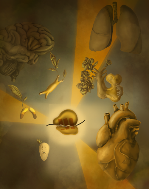 Ph.D. positions to study mRNA translation control mechanisms in human ...